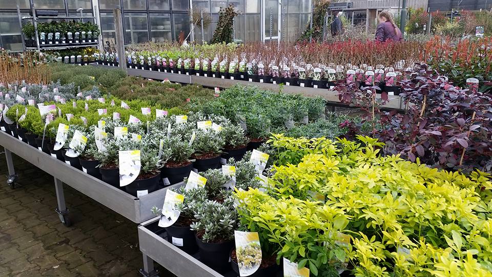 Een tuincentrum bezoeken in de omgeving van Utrecht? - Tuinwereld