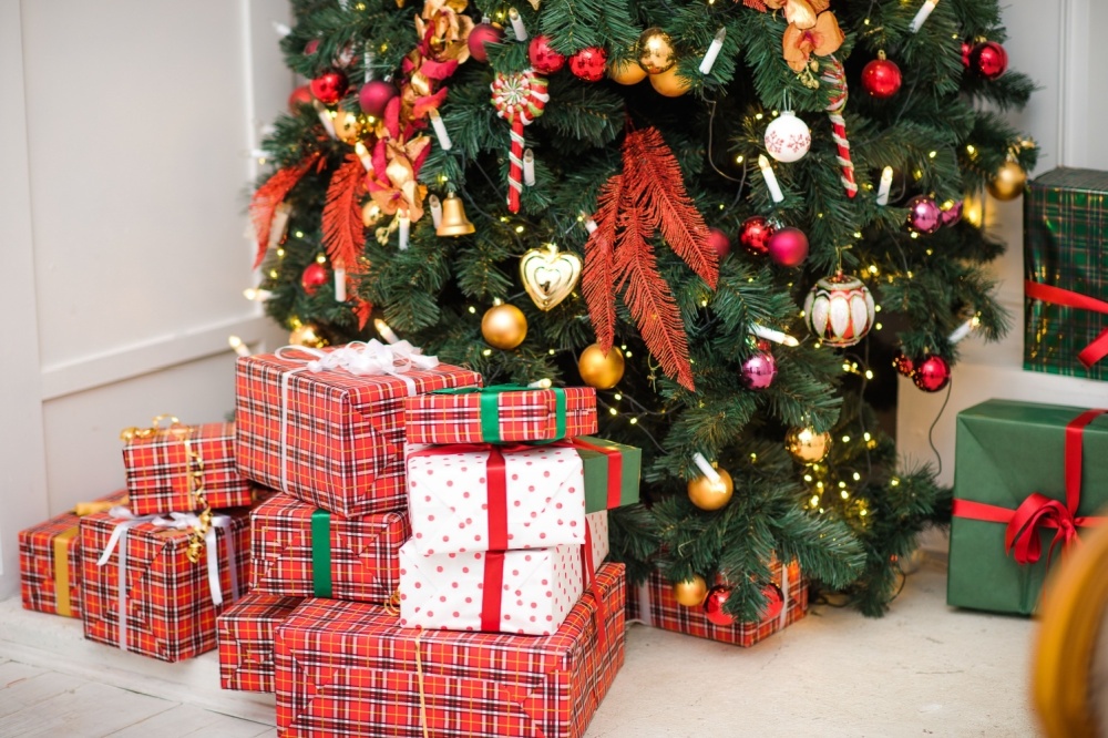 Groene kerstcadeaus - TuinWereld
