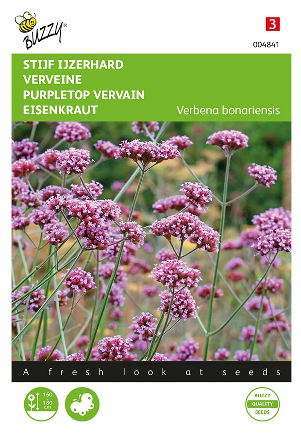 Buzzy® Verbena, Stijf Ijzerhard - TuinWereld