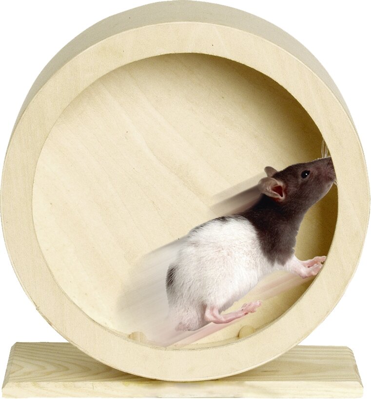 KS LOOPRAD DANCO HOUT NATUUR M DIA. 20CM - TuinWereld