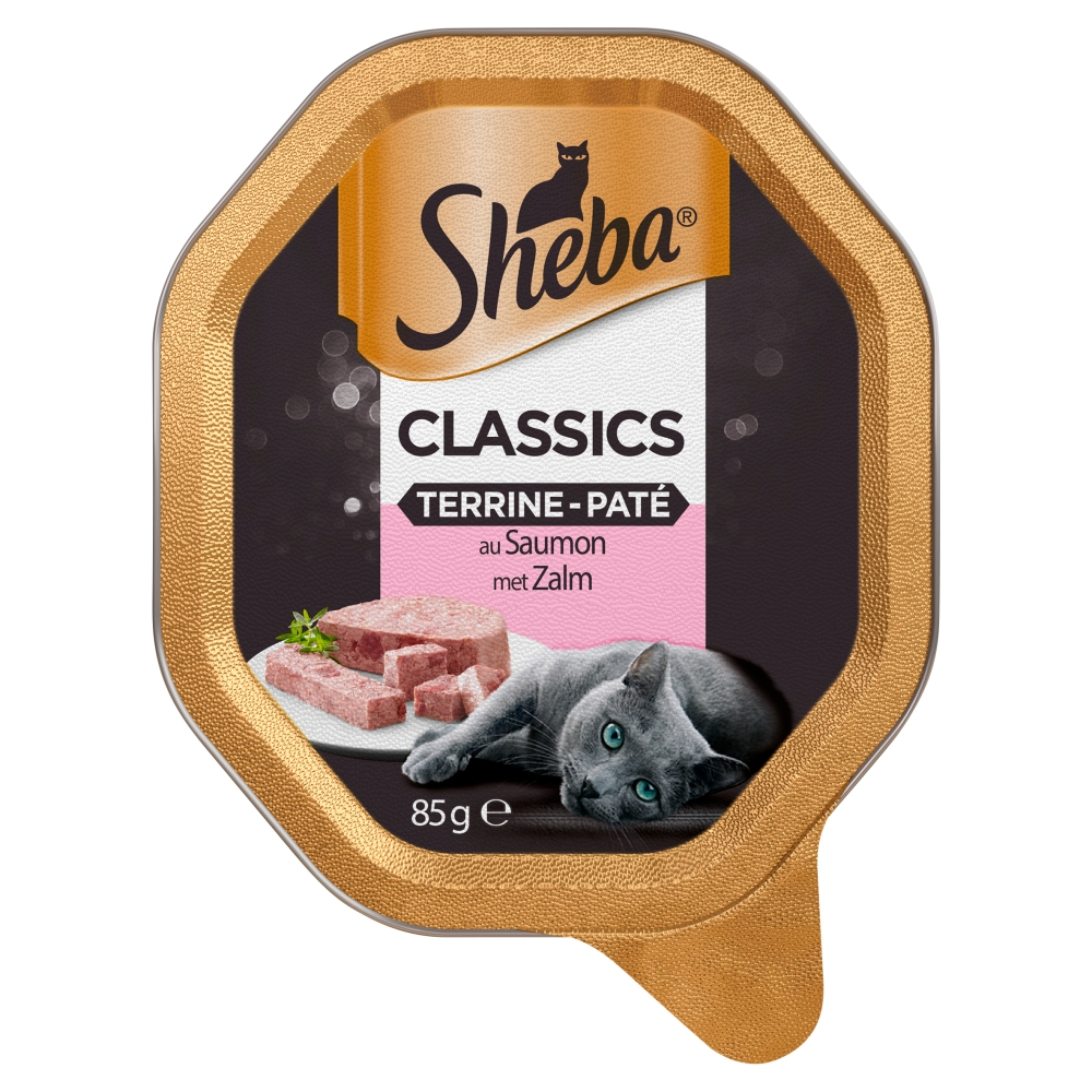 Sheba Classic Pate Met Zalm 85 Gr - TuinWereld